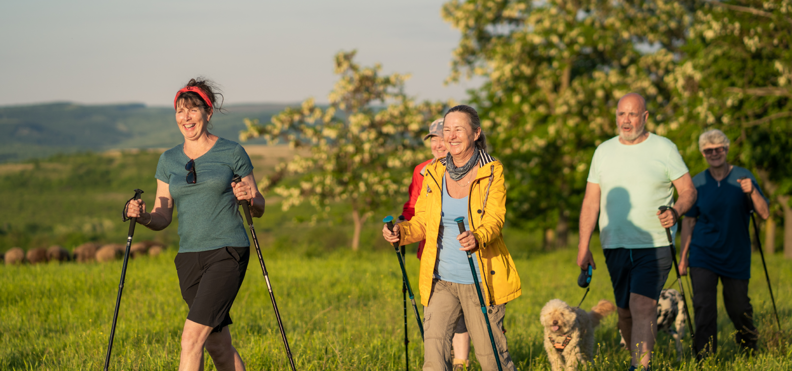 Better Call Service with Consumer Cellular: Enhancing Your ...